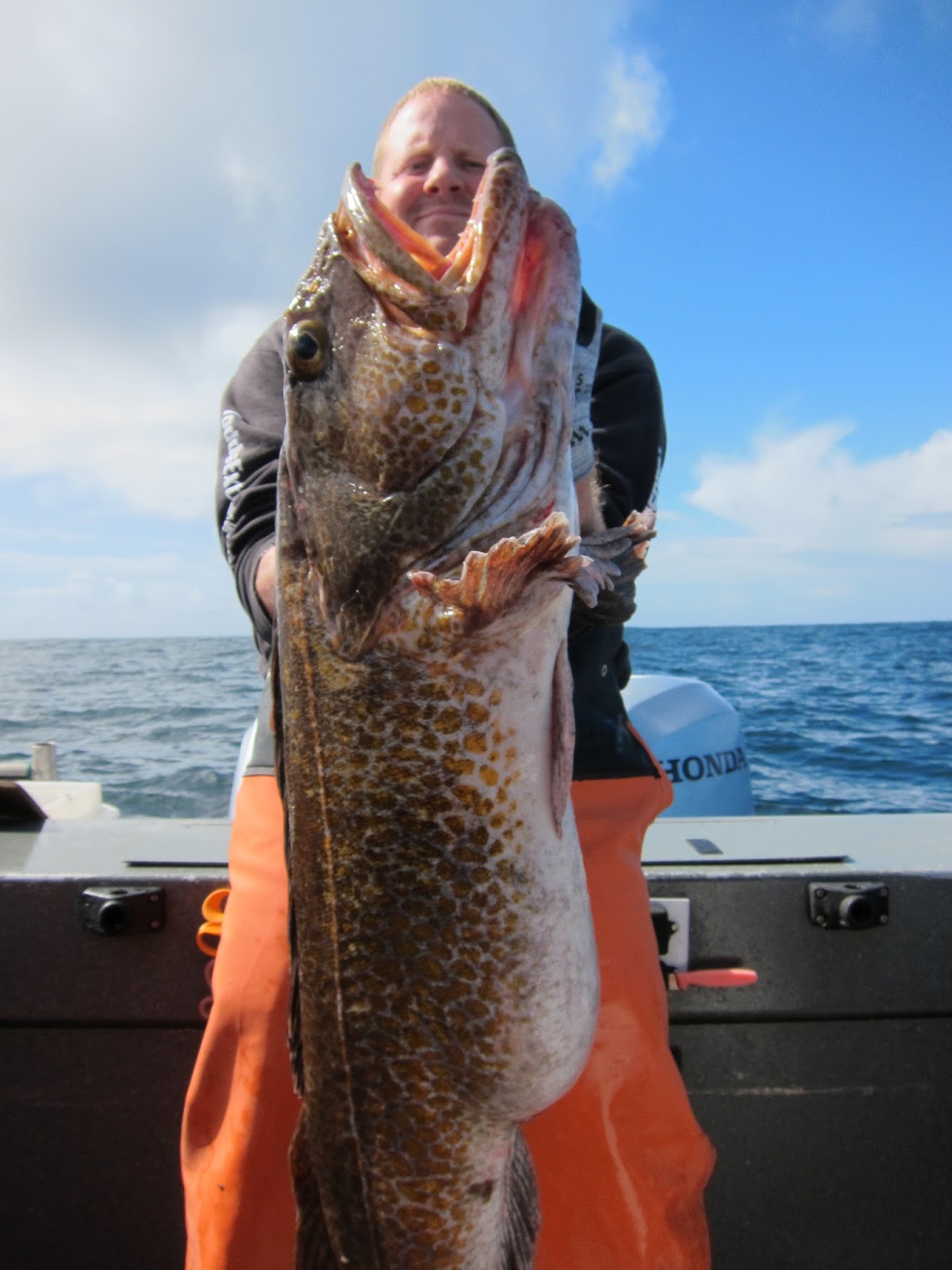 Todds Extreme Fishing: Monster lingcod, giant sable fish, and big bass!