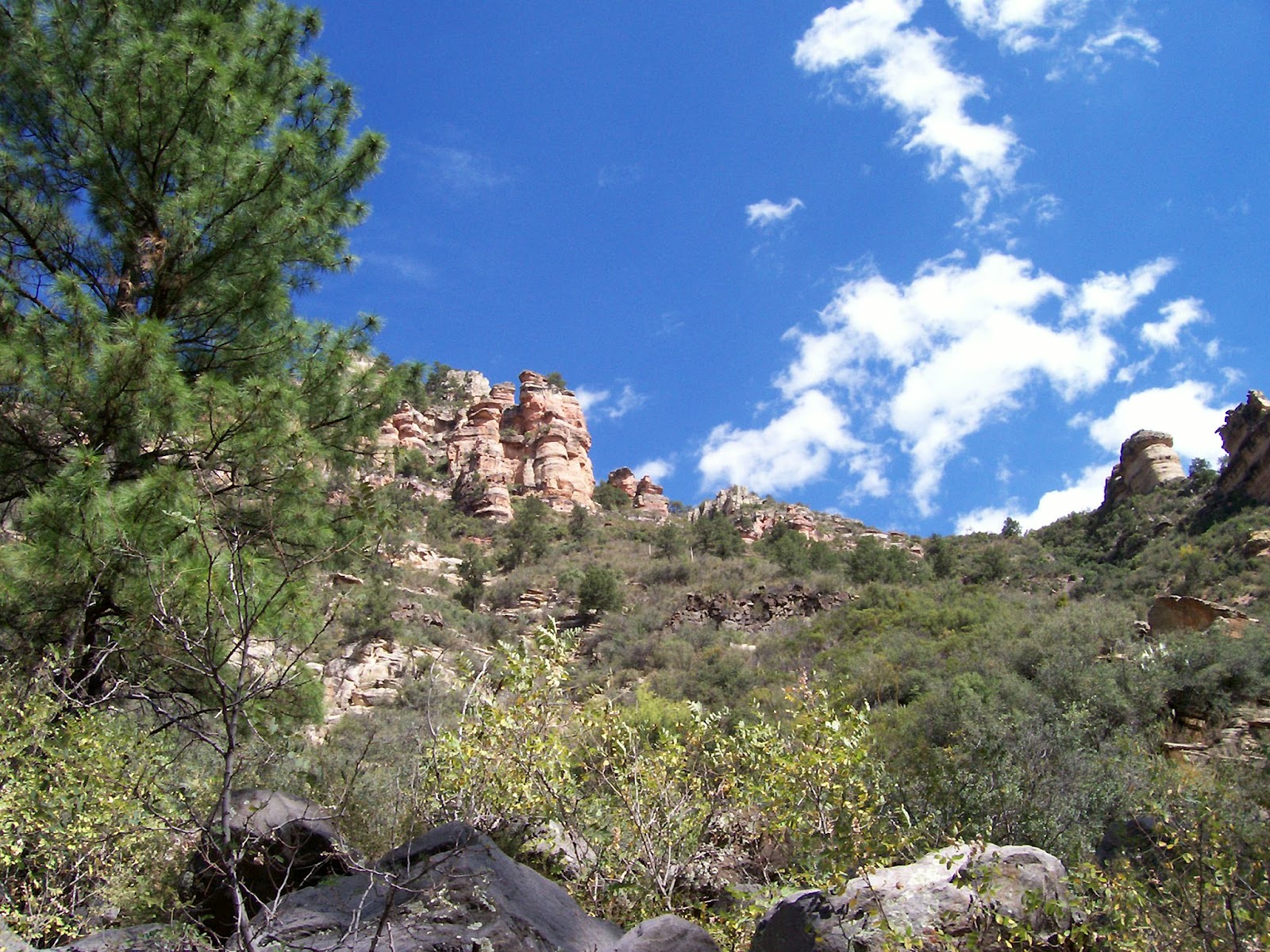 Arizona Gold Prospecting and Lost Mine Hunting: Sycamore Photos