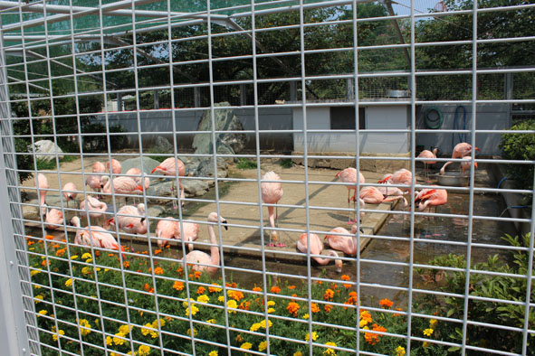 Zoos in Japan: Himeji City Zoo