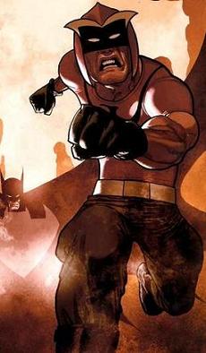 ¿Quien es quien? DC Comics: RED RAVEN