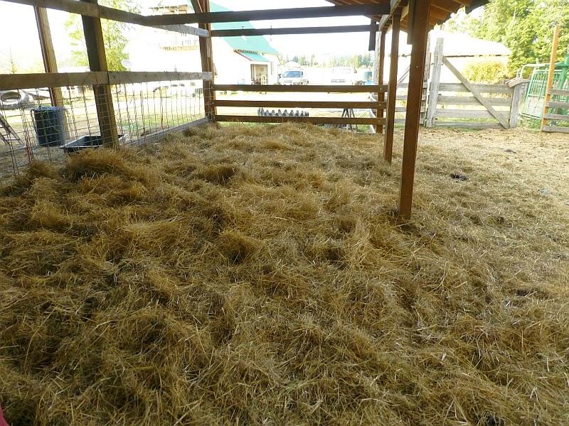 Rural Revolution: Building feed boxes