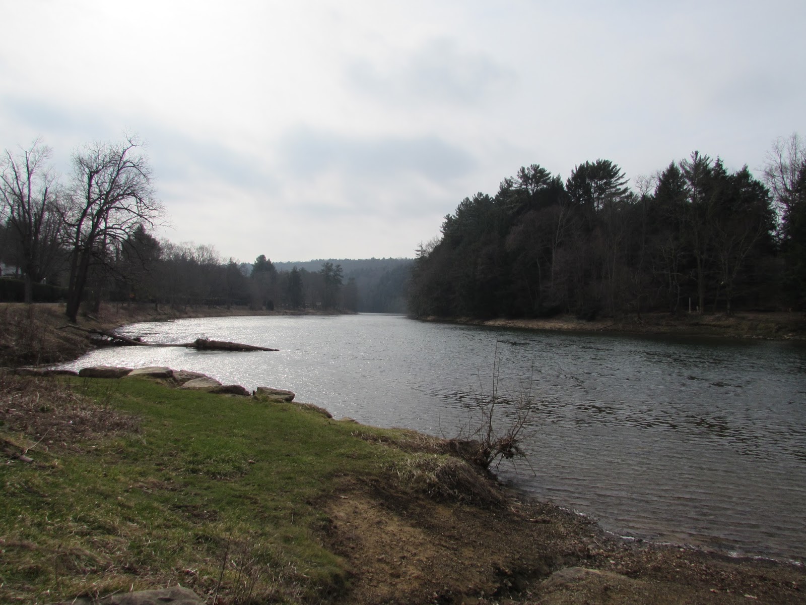 Cook Forest State Park: Tranquil Old Growth Forest, the Clarion River ...