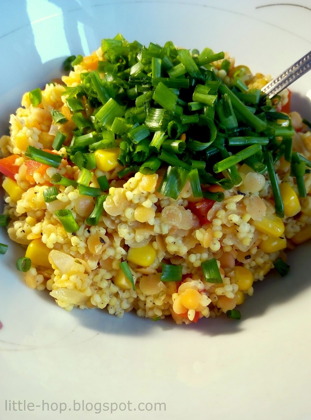 Kasza jaglana po studencku