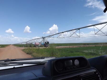 Kapunga -- The rice farm
