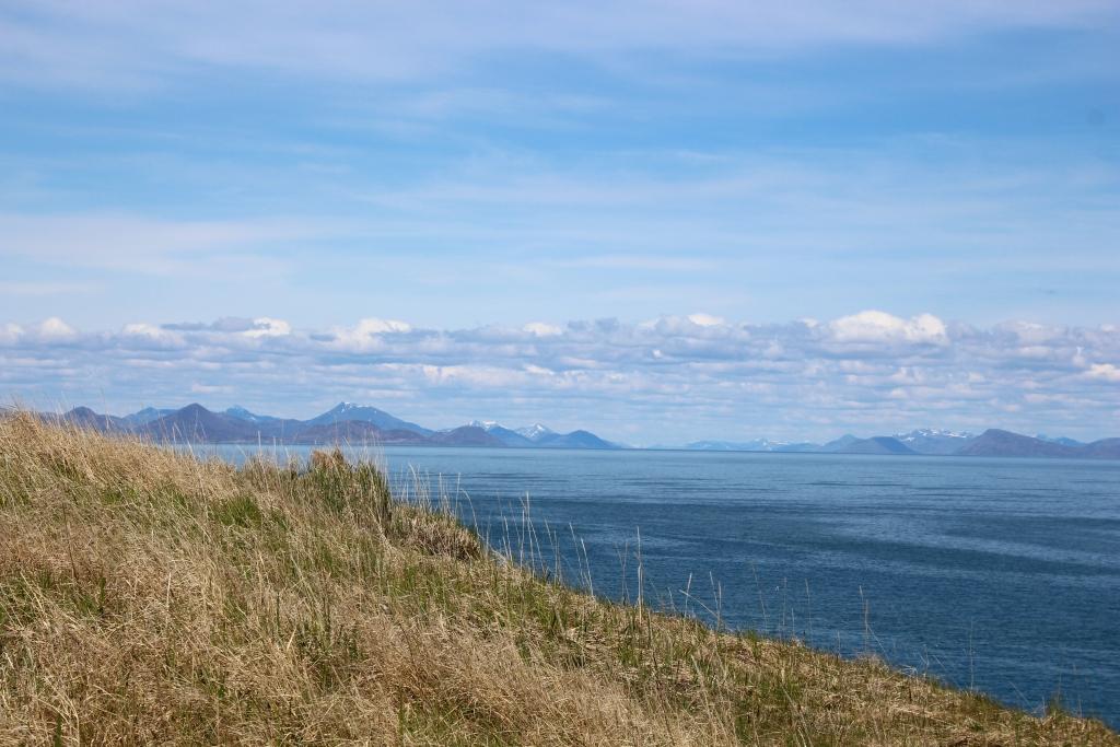 each day an adventure in alaska: around Round Island...