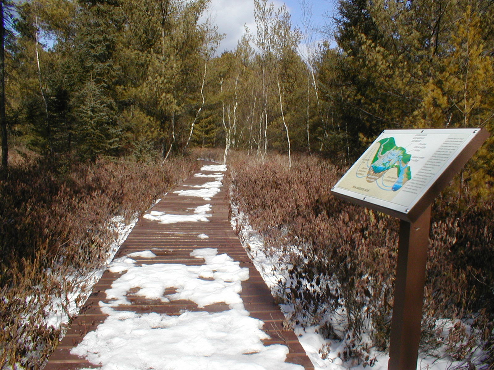 Onestep Outdoors!: Garcelon Bog Conservation Area