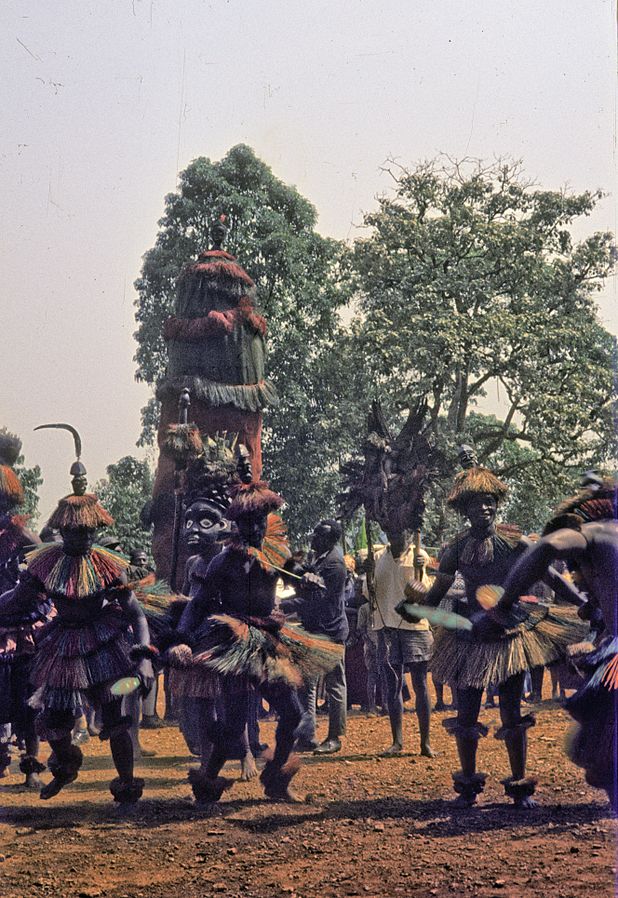 A History of Cameroon