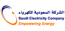Think Saudi Arabia: Saudi Electricity Company - An overview