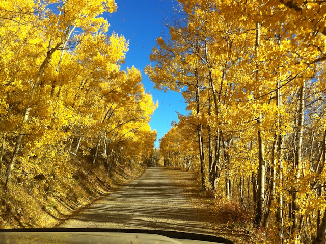 mountains & mode: Fall Foliage in Summit County
