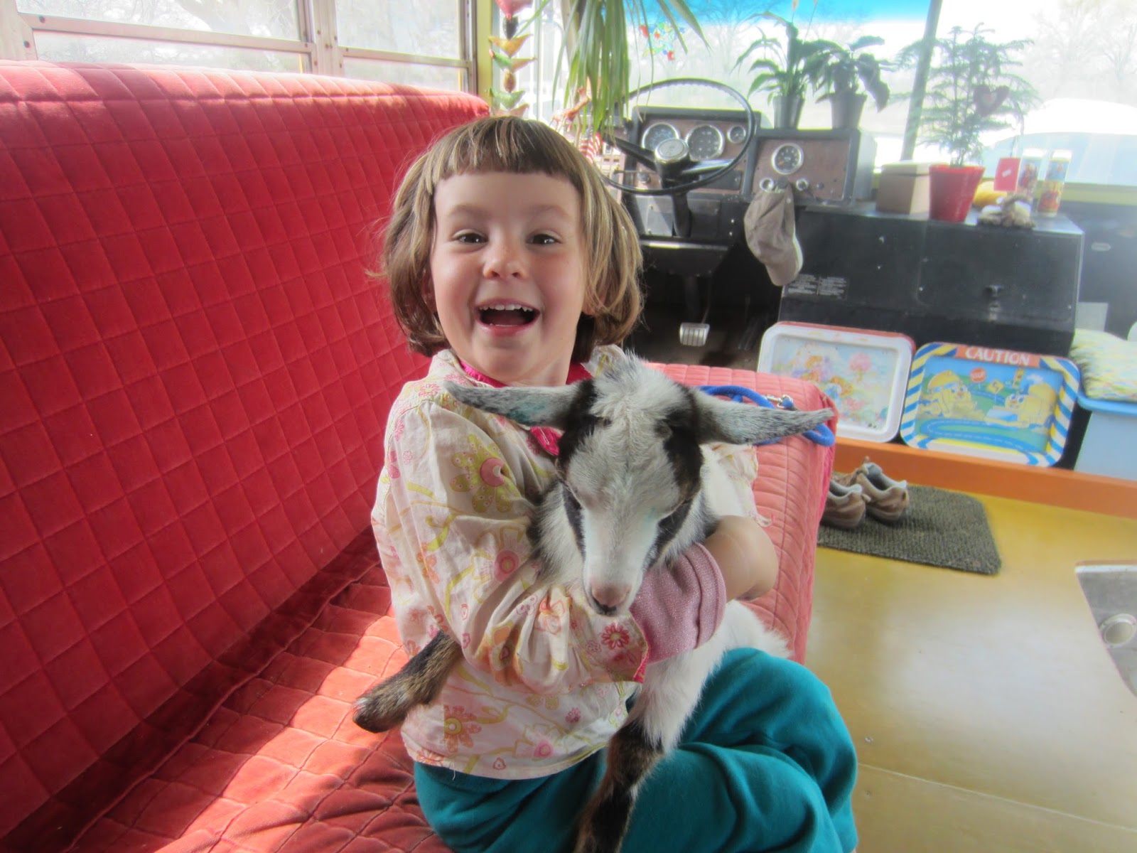 Adventures of the Yellow School Bus: Goats