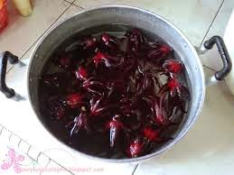 My Story : Cara membuat Jus Rozel