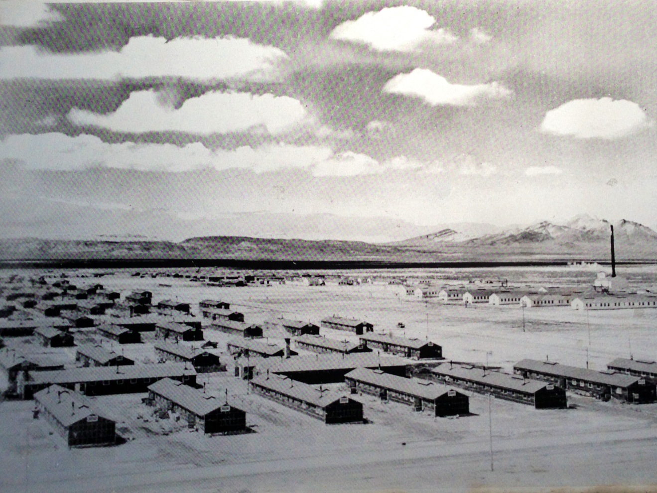 Ye Stewart Clan: Camp Topaz