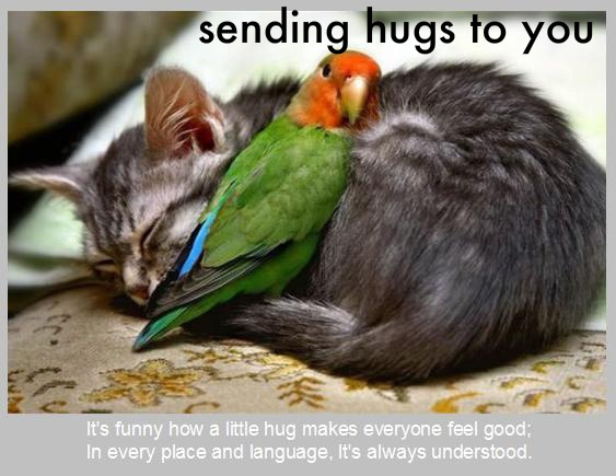 Who Needs A Virtual Hug Today? Come On In and Get One