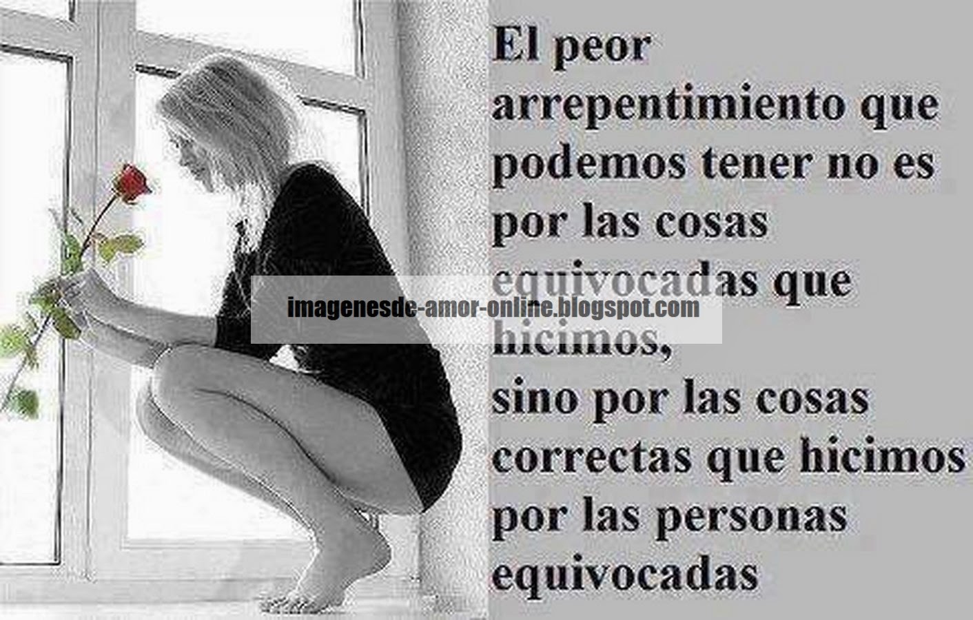 ver imagenes de amor online desmotivaciones con frases poemas rosas ...