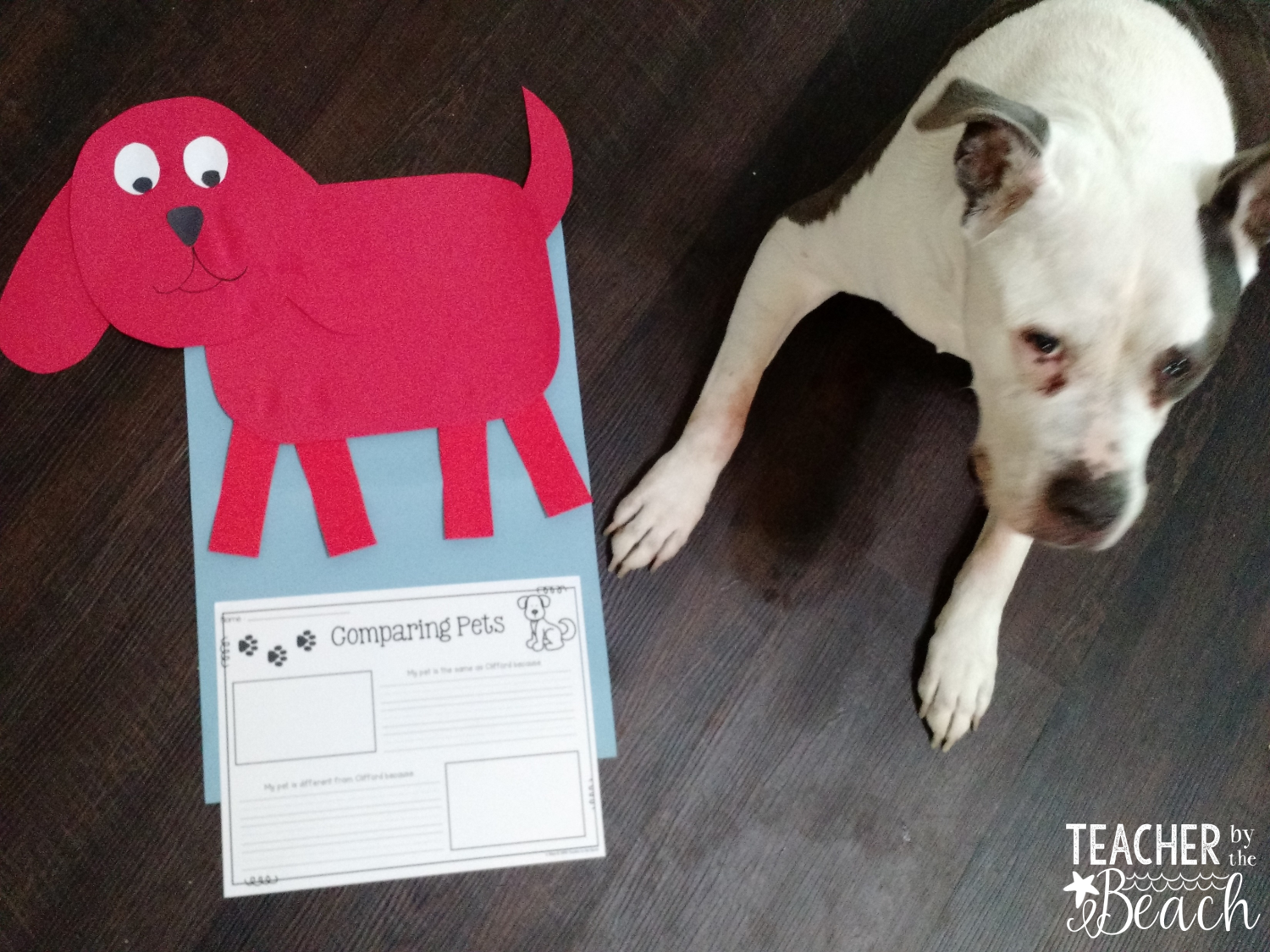 Clifford Activities - Teacher by the Beach