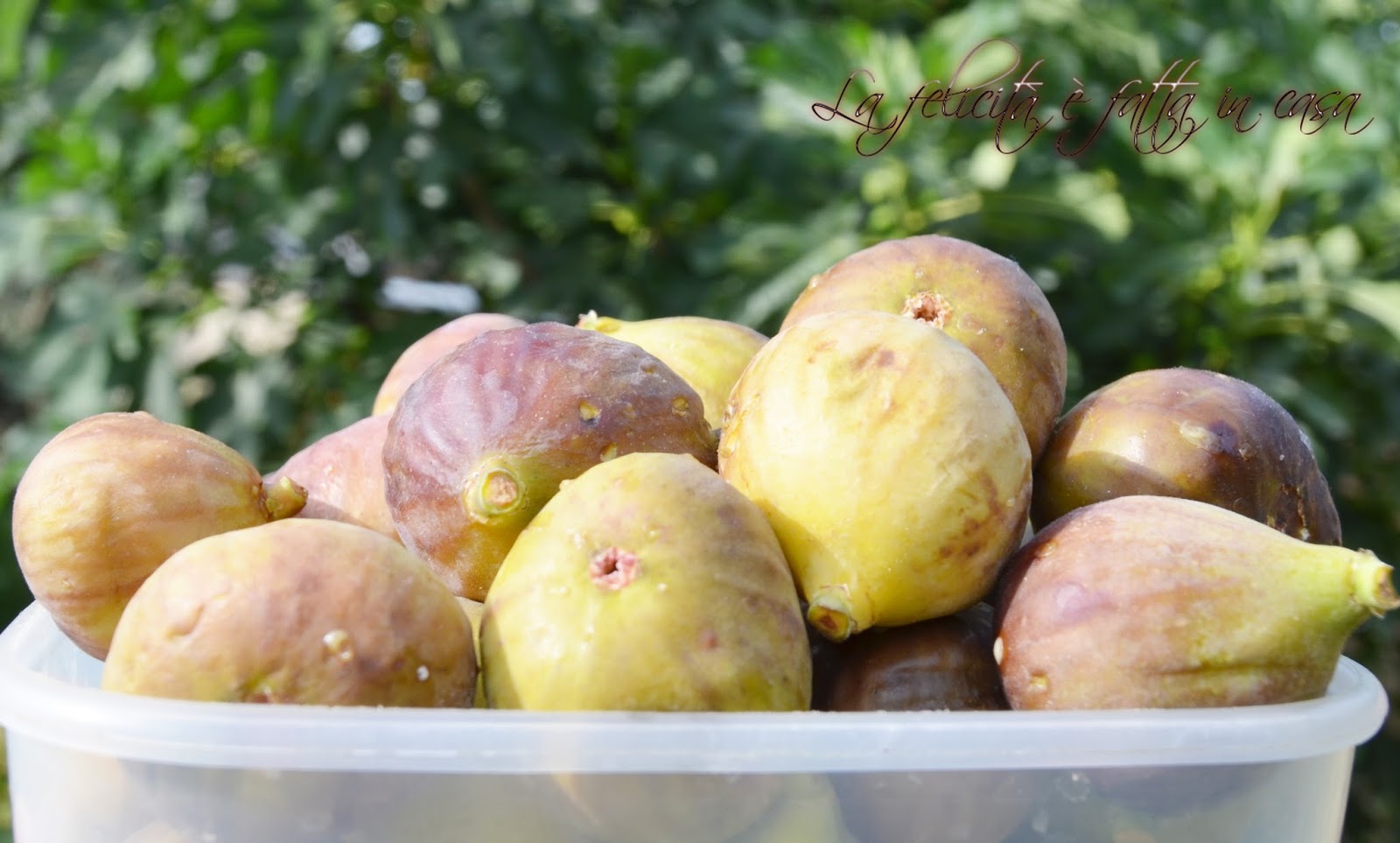 La felicità è fatta in casa: Dulceata de smochine