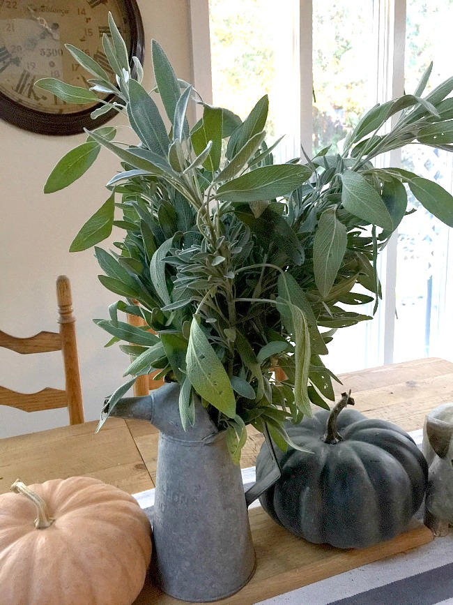 Harvesting Sage for a Beautiful Centerpiece
