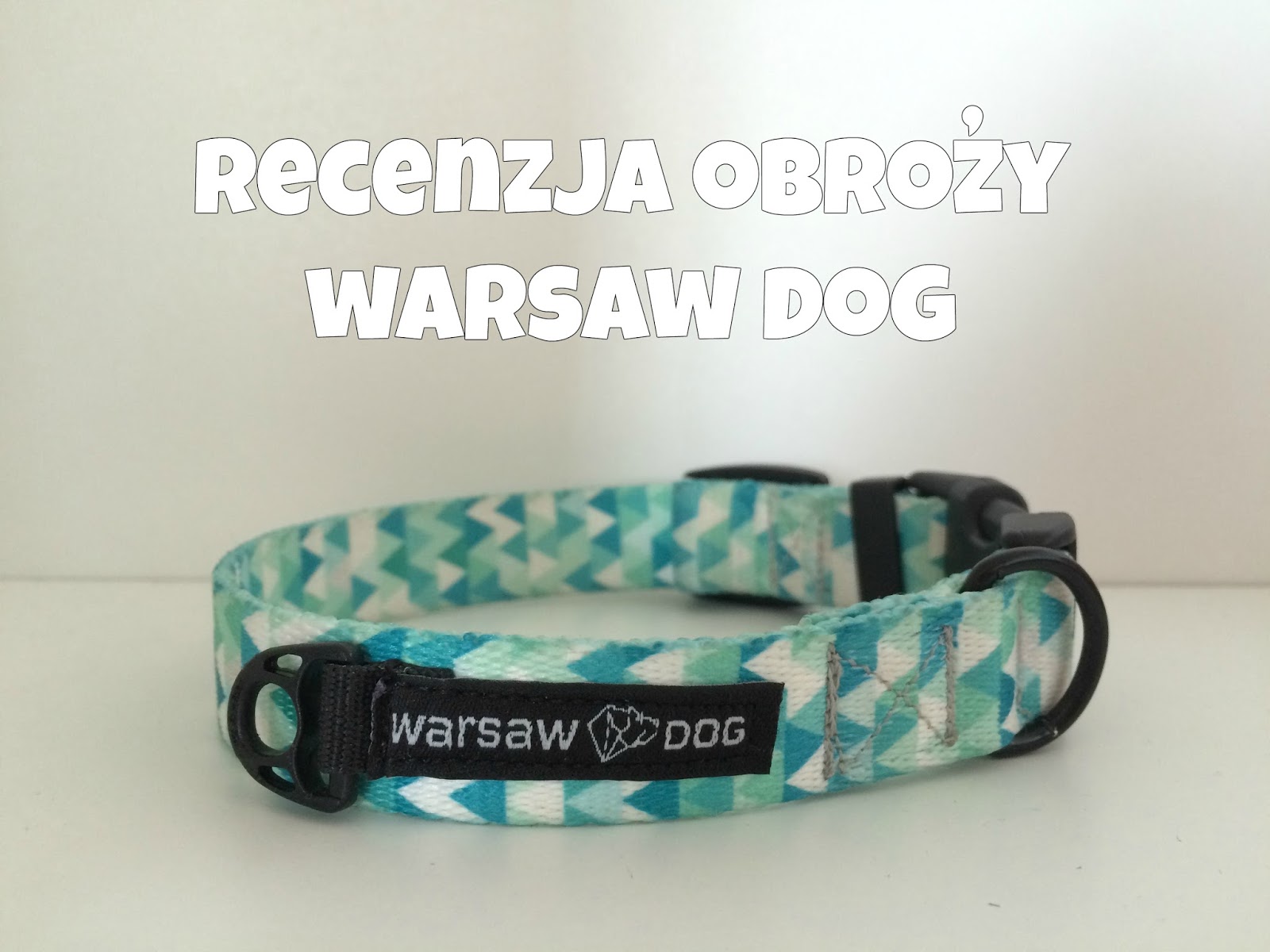 Rubi - przyjaciel na zawsze: Recenzja obroży Warsaw Dog.