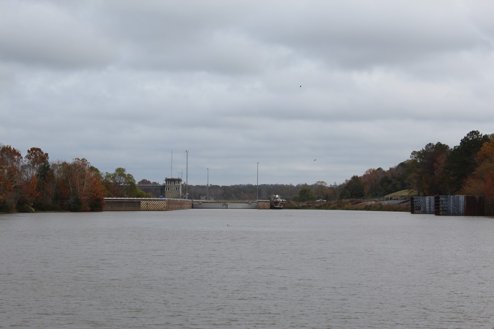 THE JOURNEYS OF TERRMAR IV: NOV 13-14,2011- DEMOPOLIS, AL TO BASHI ...