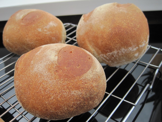 Diary of a keen baker: Spanish Rolls
