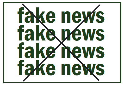 HOW TO BE A RESPONSIBLE NETIZEN