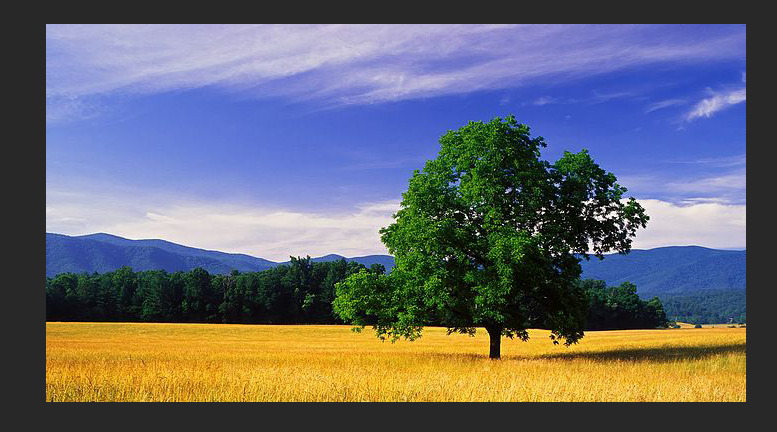 Easy way to Create a nature Water Reflection effect In Photoshop CS6 ...