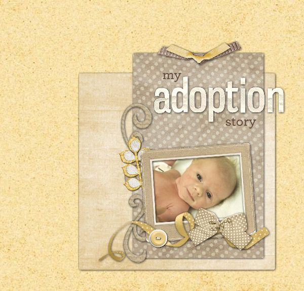 Photo & Story Treasures: Telling and Recording Adoption Stories