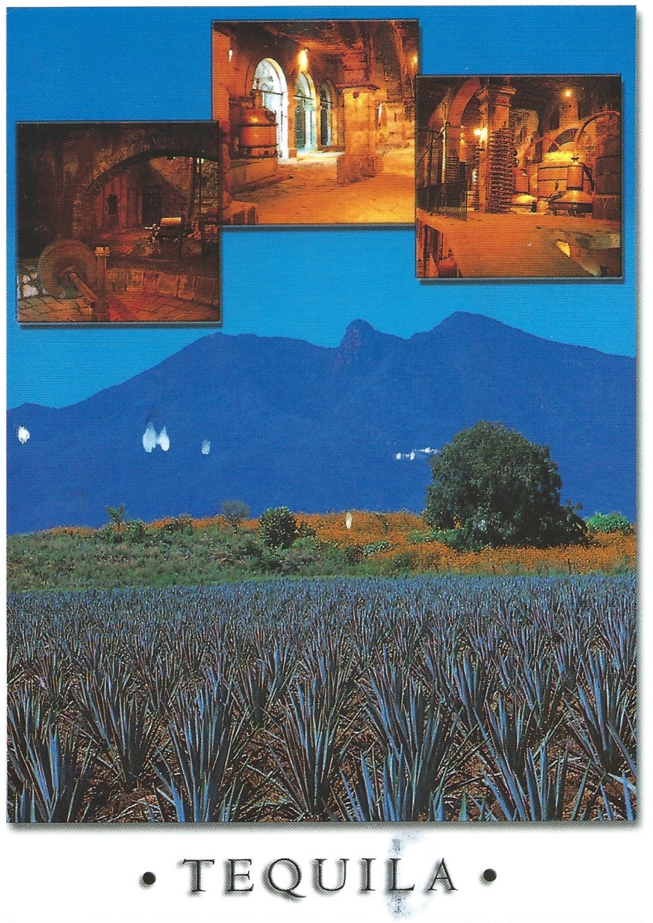 MY POSTCARD-PAGE: MEXICO ~ Tequila Town - Jalisco - UNESCO