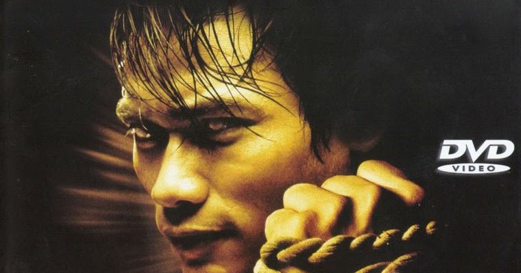 TOP FILMES E CRÍTICAS: O PROTETOR (2005)