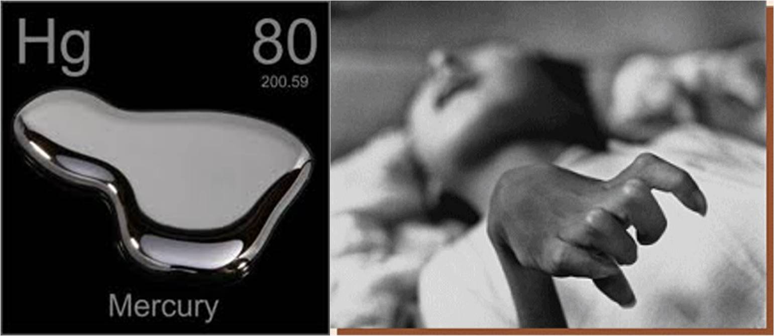 Selamatkan Wanita dan Generasi dari Bahaya Merkuri: Merkuri dalam ...