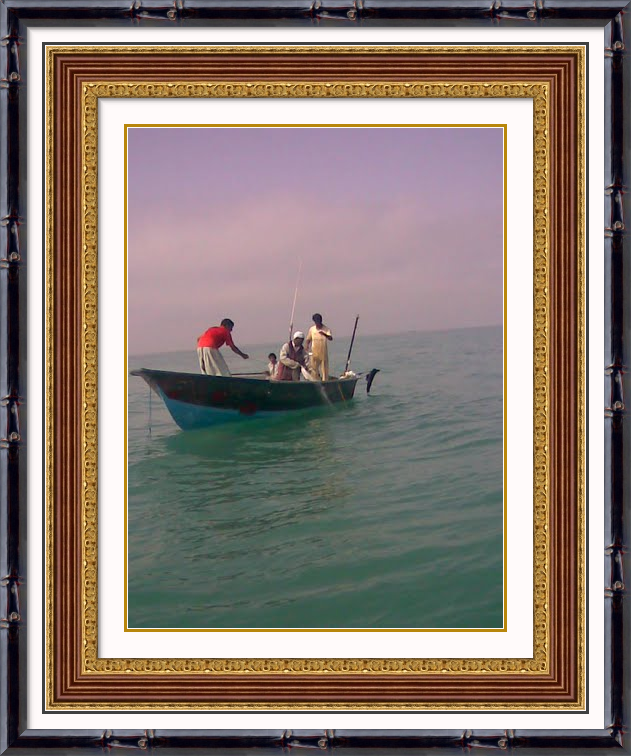 Spreebird wildlife: JIWANI PORT (BALUCHISTAN-PAKISTAN)