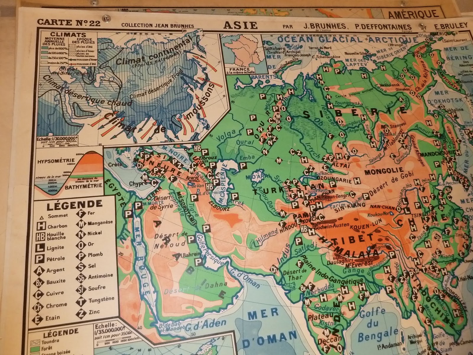 Vintage French Posters Botany Animals Anatomy, old World Maps from ...