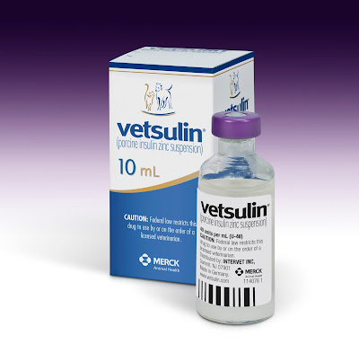 Insights into Veterinary Endocrinology: What's the Best Insulin for ...