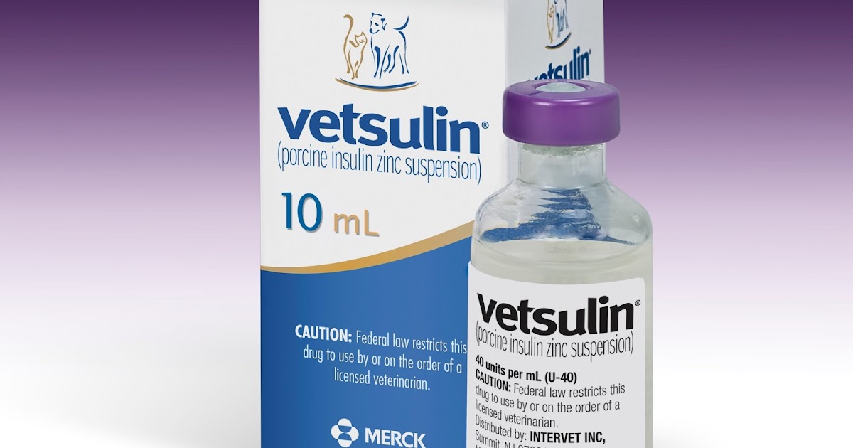 Diabetes In Dogs What s The Best Insulin For Diabetic Cats And Dogs 