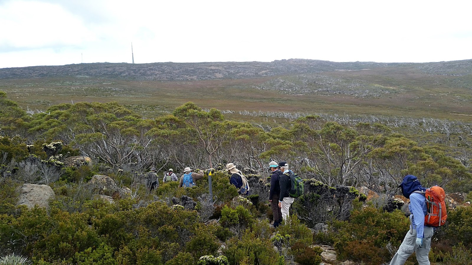 Ramblings: Thark Ridge 2017