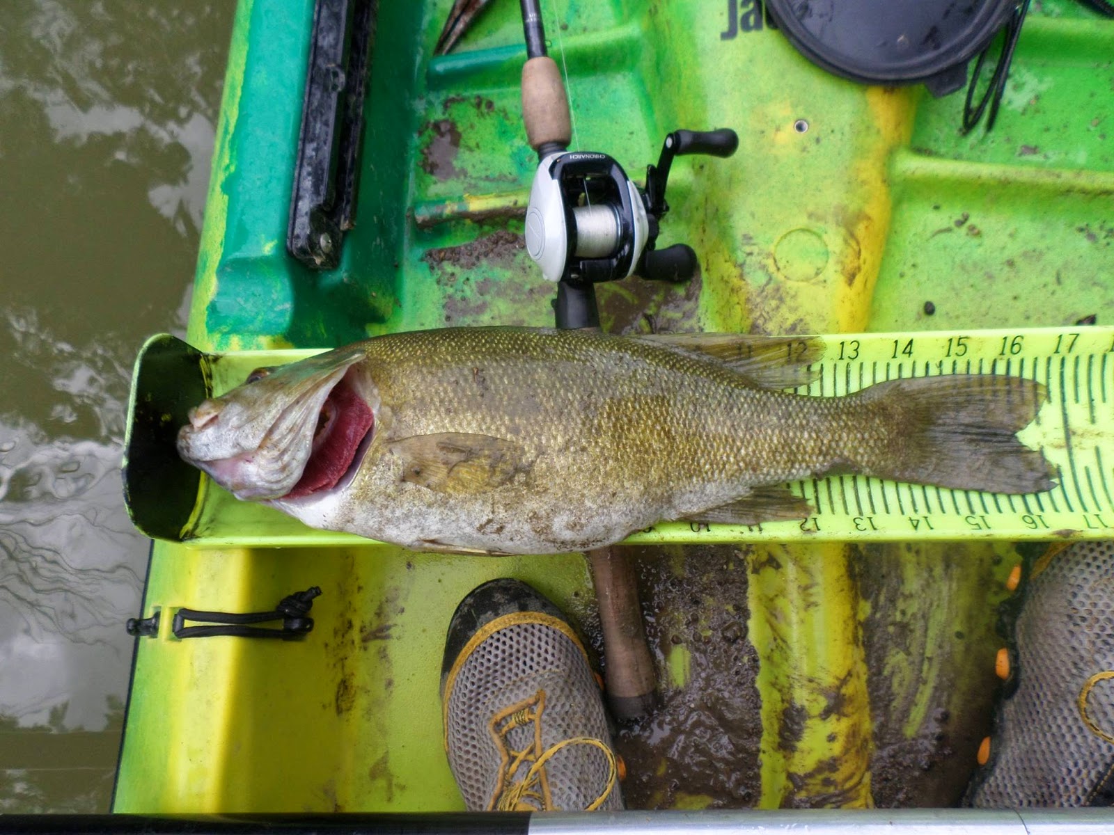 Stiger's Fishing Stop: Tournament Series Part 2: Mouths Open vs. Mouths ...