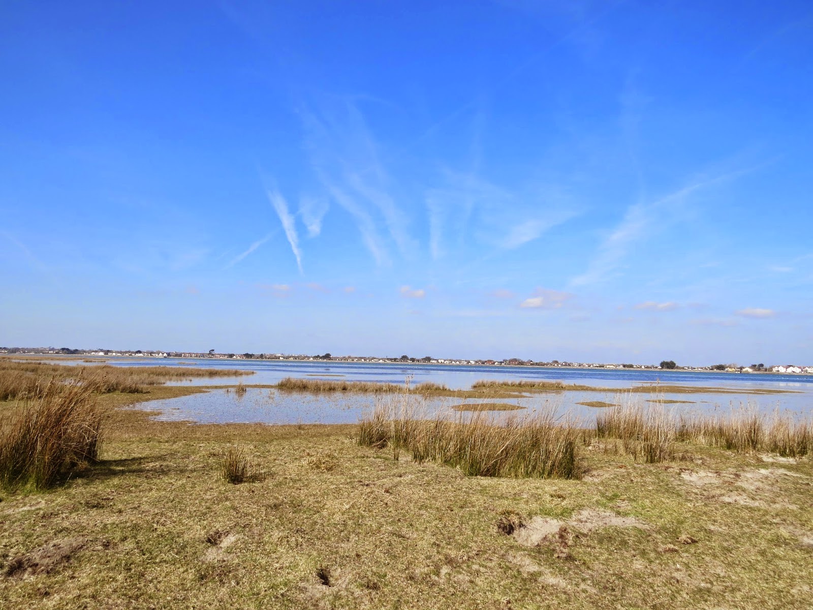 How to Make the Most of a North Bull Island Walk in Dublin