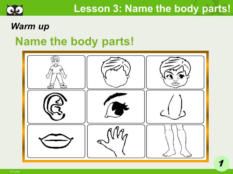 YOKITALK: Grade 3-1_Unit 7_Lesson 3 Name the body parts