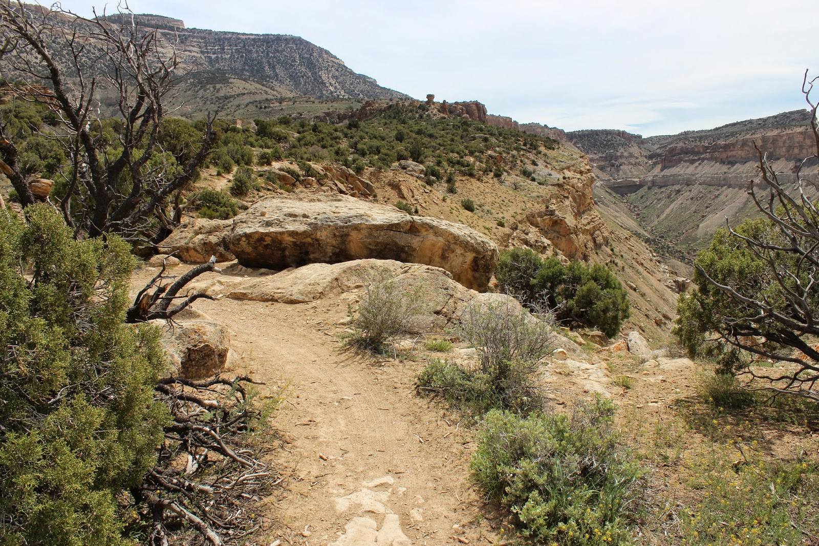 gjhikes.com: Palisade Rim Upper Loop