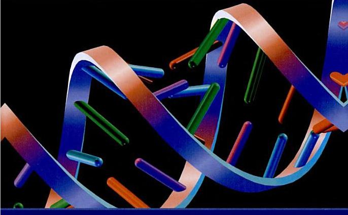 Genetic engineering :What Is DNA? |Genetic Engineering Info