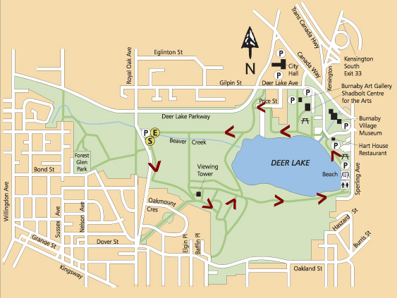 Parrots, Paddling, and Ponderings: No time for a long paddle? Try Deer ...