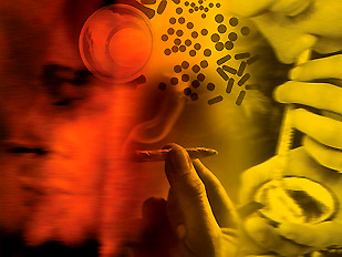 ETICA JOVEN: TOXICOMANIAS - 1° TAREA DEL 2do.BIMESTRE