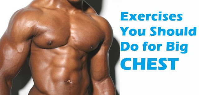 Muscle Palace: Top 5 Exercises You Should Do To Build A Bigger Chest
