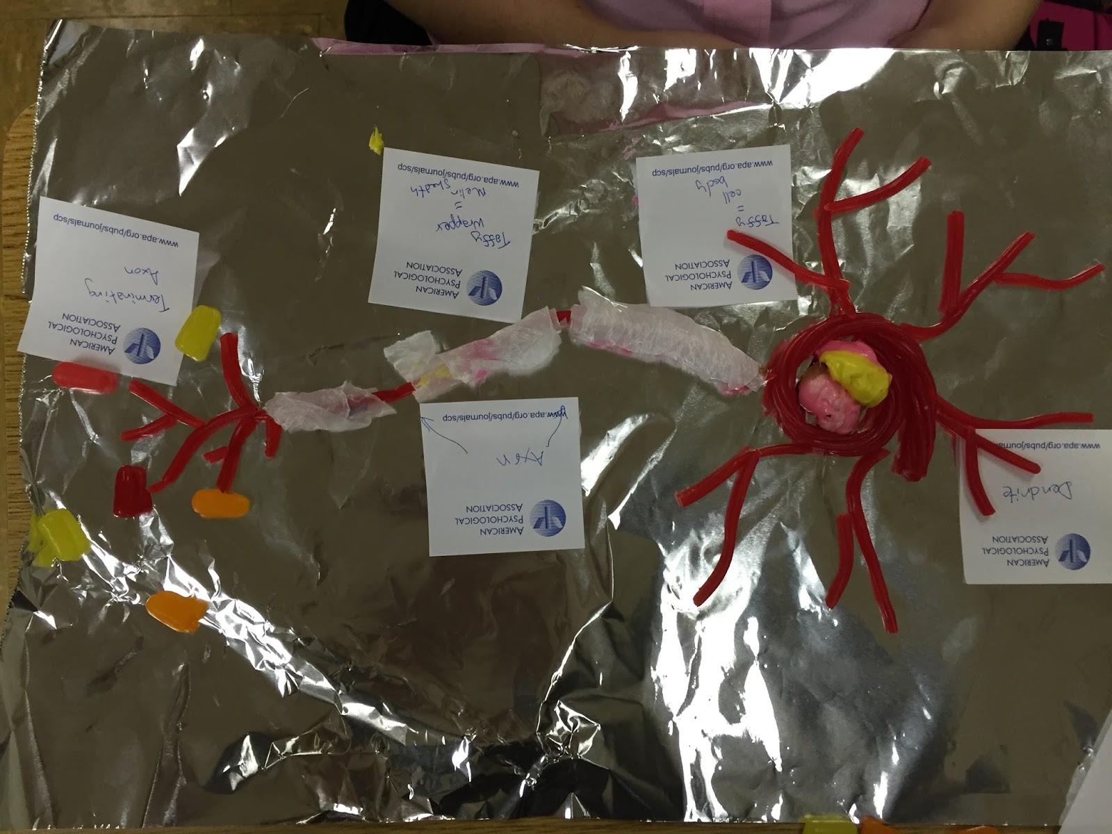 BD PSYCHOLOGY CLASS 2015-2016: Candy Neuron Project