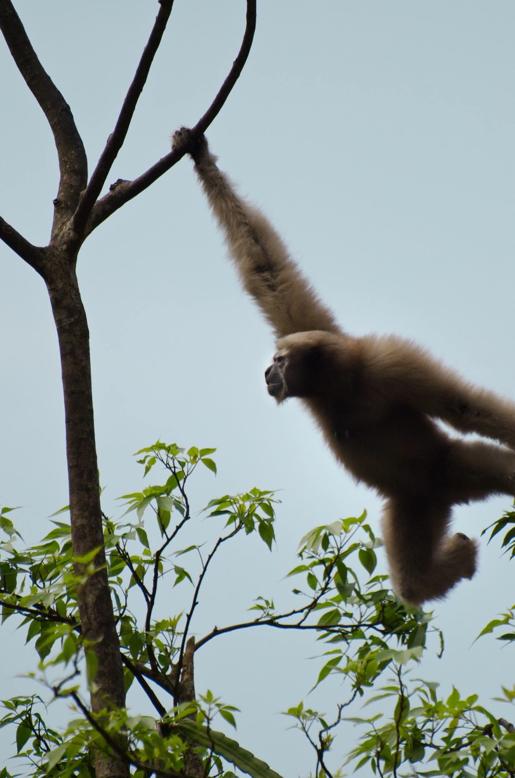 Necessary Journeys: 2015