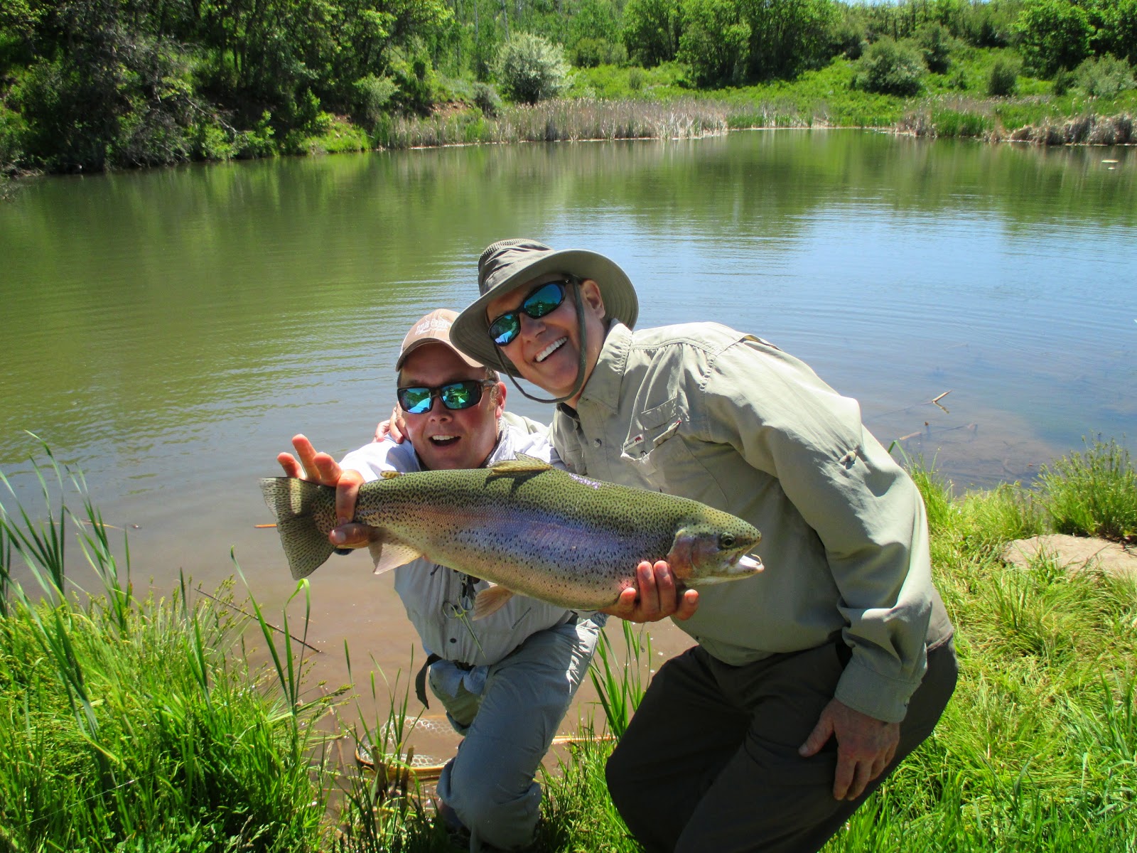 Taylor Creek Flyshop: Bar ZX Ranch