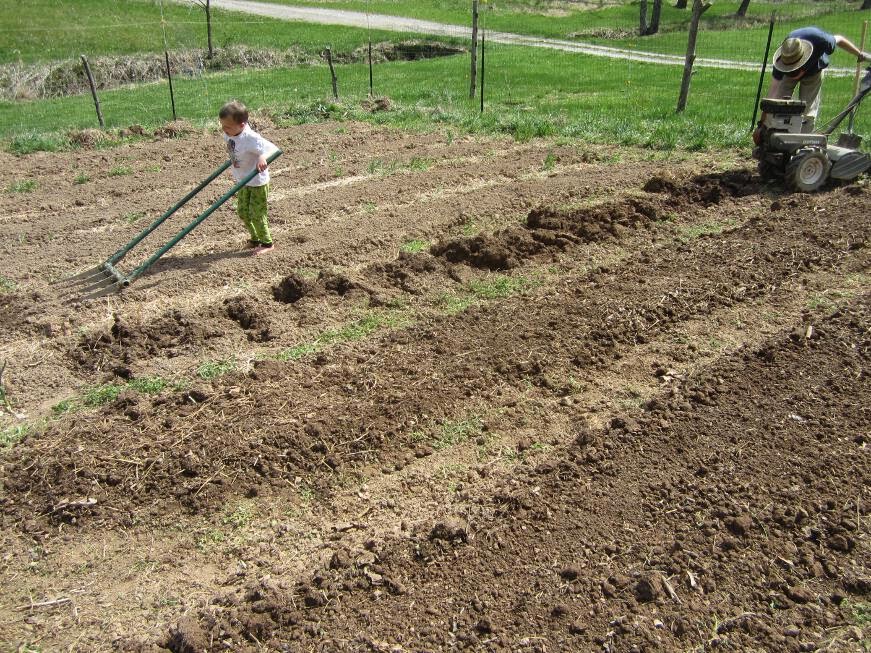 Simply Resourceful: The Benefits of Using a Broadfork