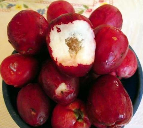 COSAS MIAS...: FRUTAS EXÓTICAS DEL PERÚ - 2