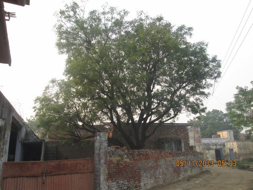 Barsu Inside View ~ Barsu Village Muzaffarnagar