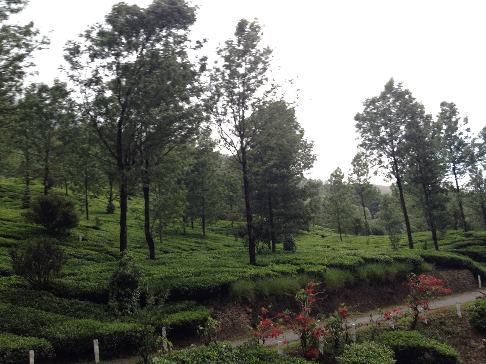 KANTHALLOOR THE LAND OF FRUITS | TOURIST ATTRACTIONS IN KANTHALLOR ...